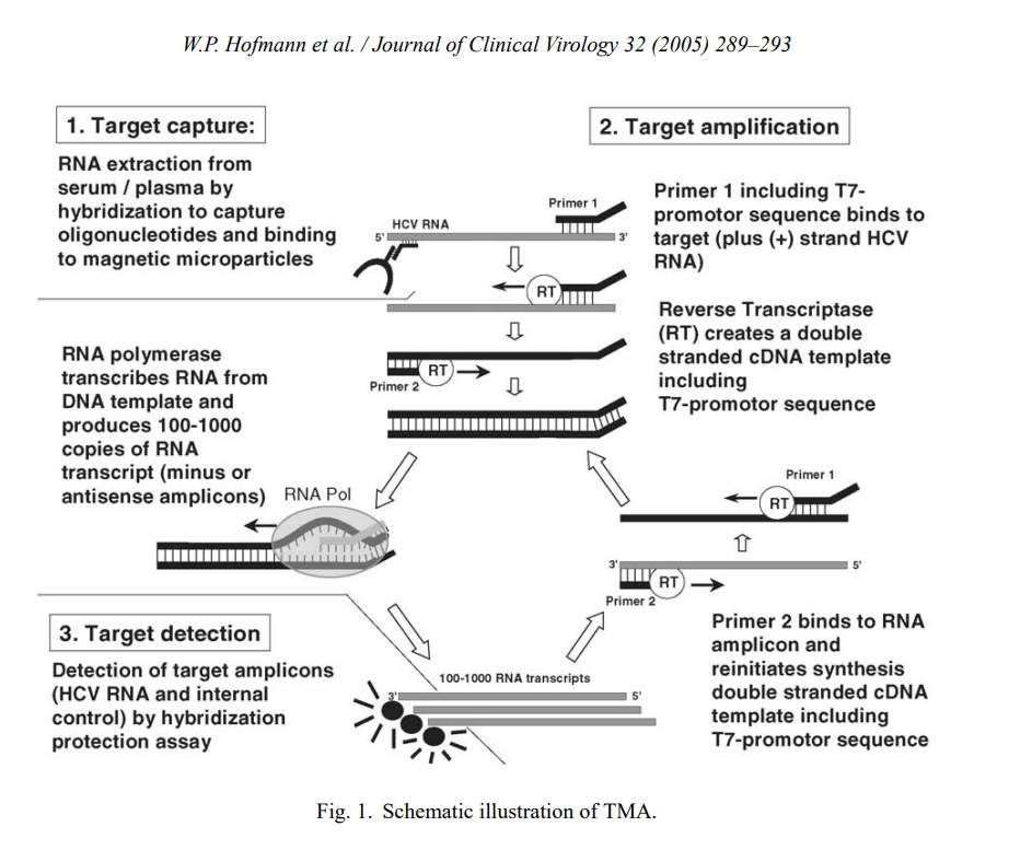 6,2 - MyBioSource Learning Center