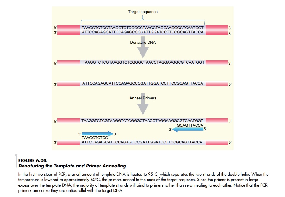 2.1 - MyBioSource Learning Center
