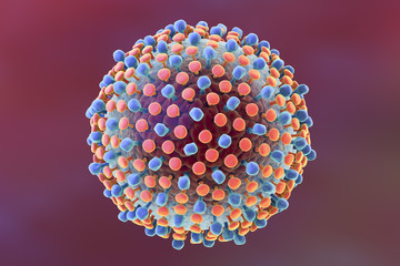 Scientists Discover Viral Mechanism Used By Flavivirus | MyBioSource ...