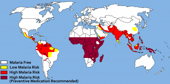 WHO demands more funds to combat Malaria | MyBioSource Learning Center