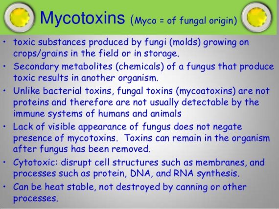 A brief review of Mycotoxins | MyBioSource Learning Center