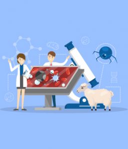 The Future of Cloning: From Dolly The Sheep To Elizabeth Ann