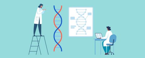 What Is A Gene? A Complete Guide To Genes | MyBioSource Learning Center