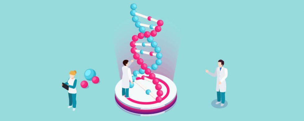 What Is A Gene? A Complete Guide To Genes - MyBioSource Learning Center