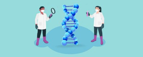 What Is A Gene? A Complete Guide To Genes | MyBioSource Learning Center