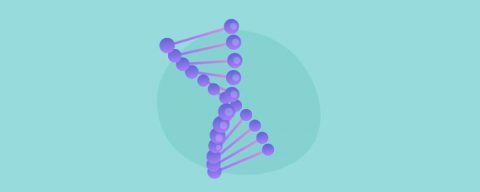What Is A Gene A Complete Guide To Genes Mybiosource Learning Center
