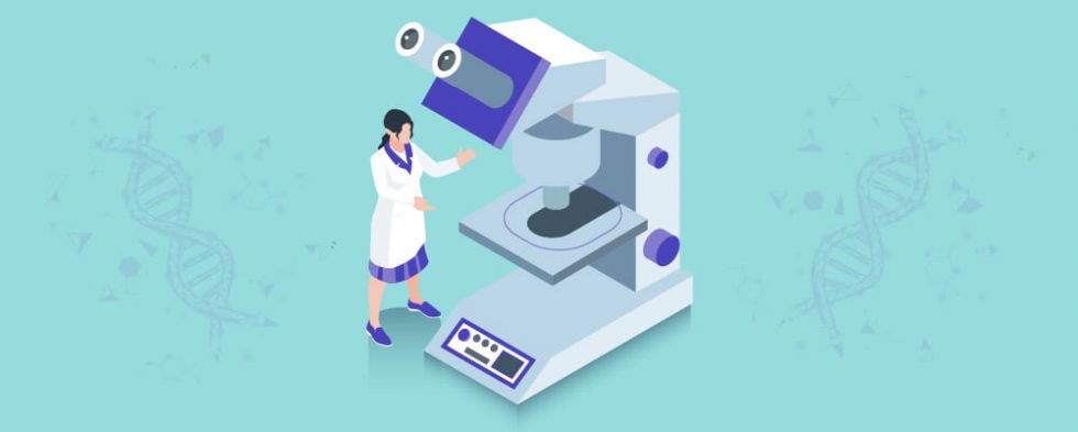 What Is A Gene? A Complete Guide To Genes | MyBioSource Learning Center