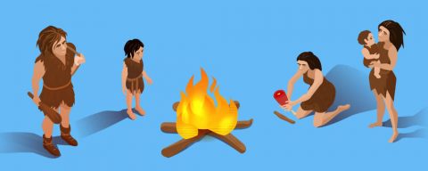 How Did Humans Evolve? A Complete Guide To Human Evolution ...