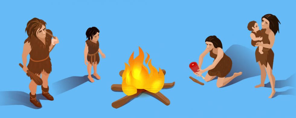 How Did Humans Evolve? A Complete Guide To Human Evolution ...