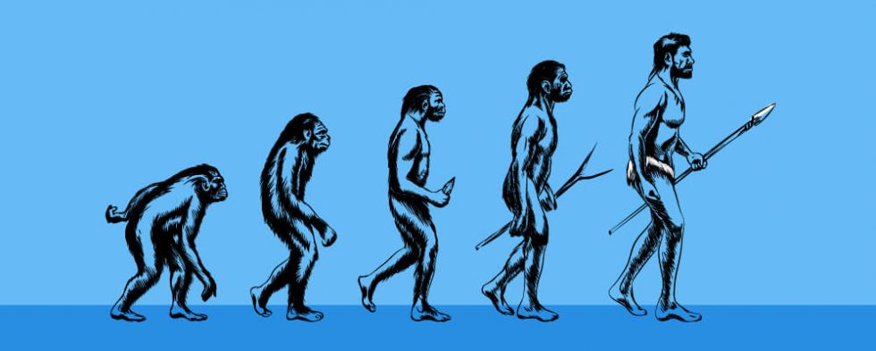 How Did Humans Evolve? A Complete Guide To Human Evolution ...