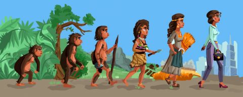 How Did Humans Evolve? A Complete Guide To Human Evolution ...