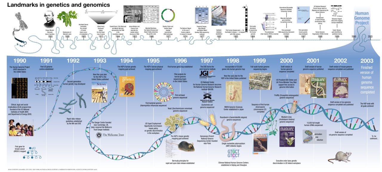 From the Human Genome Project to the Present: A Brief History of Genome ...