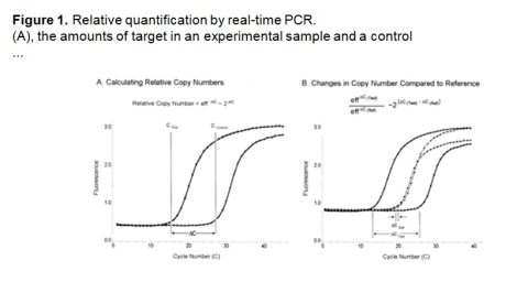 PCR-based Diagnostics for Infectious Diseases, Genetic Disorders, and ...