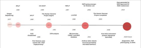Forensic Applications of PCR: DNA Profiling and Analysis | MyBioSource ...