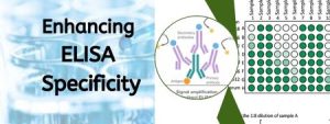 ELISA Sensitivity and Specificity - MyBioSource Learning Center