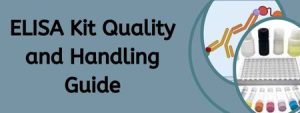 Best Practices for ELISA Sample Handling | MyBioSource Learning Center