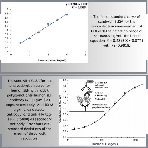 ELISA: Data Analysis and Interpretation | MyBioSource Learning Center