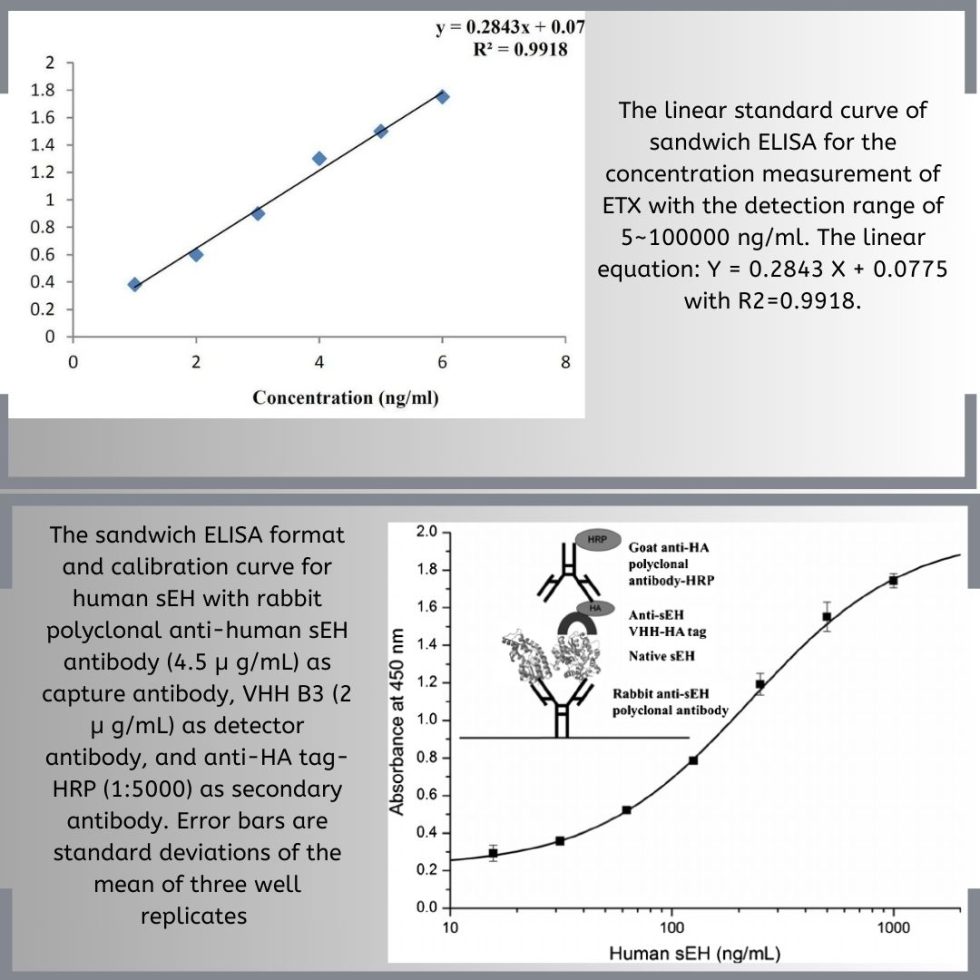 ELISA: Data Analysis and Interpretation | MyBioSource Learning Center