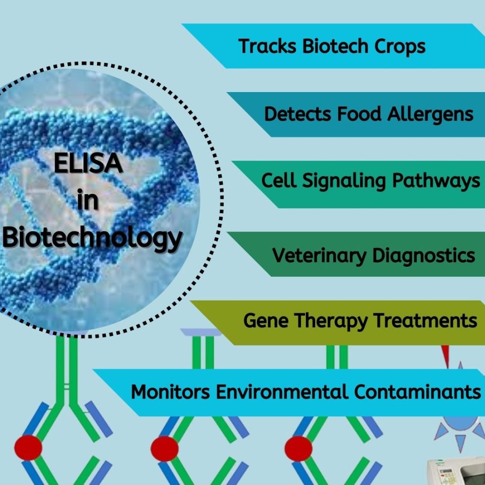 Elisa Assays in Pharmaceutical and Biotechnological Research ...
